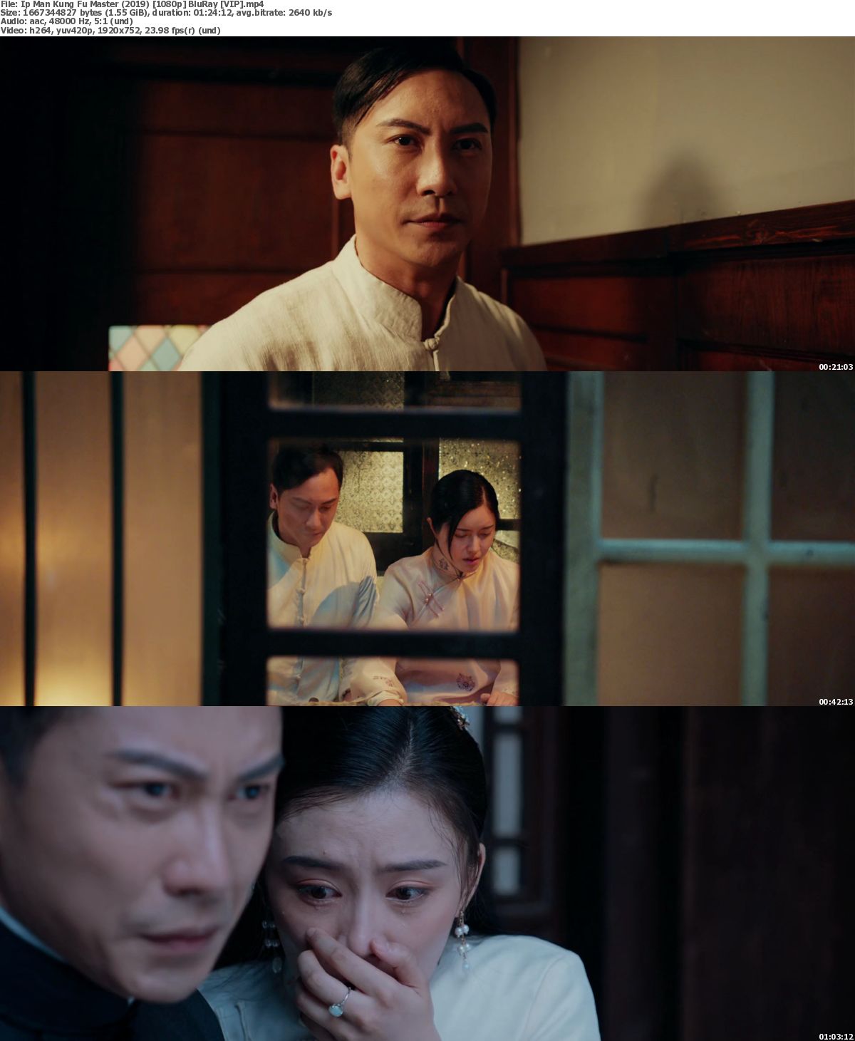 Ip Man Kung Fu Master 2019 Filmxy